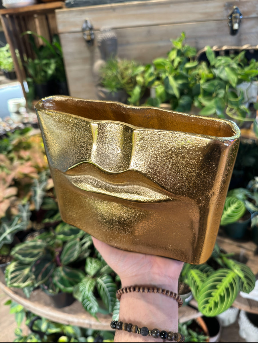 Large Gold Lip Vase – Rooted Living Designs