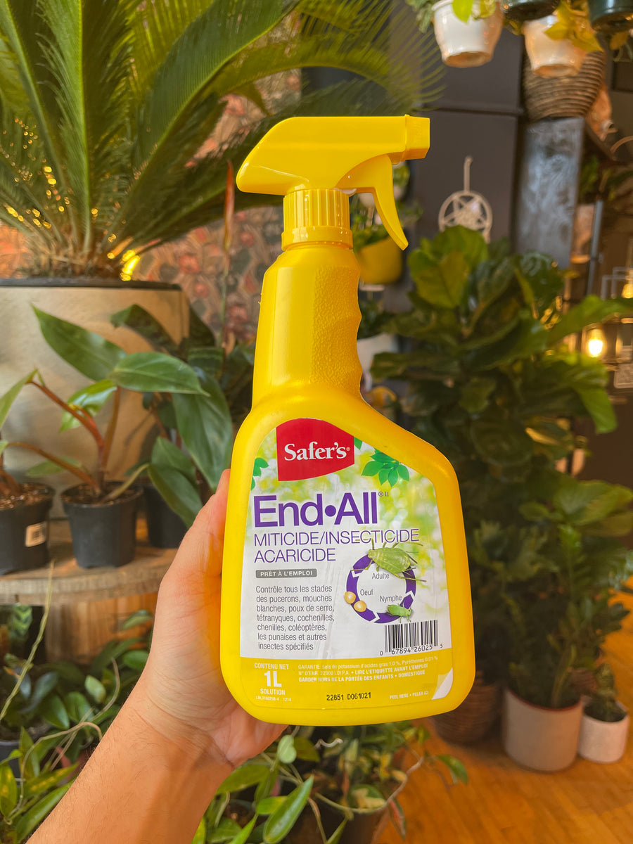 End All Spray Bottle – Rooted Living Designs